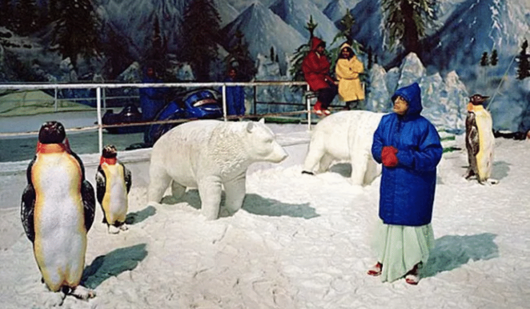 Snow World Hyderabad | Ticket Price, Timings and Online Booking